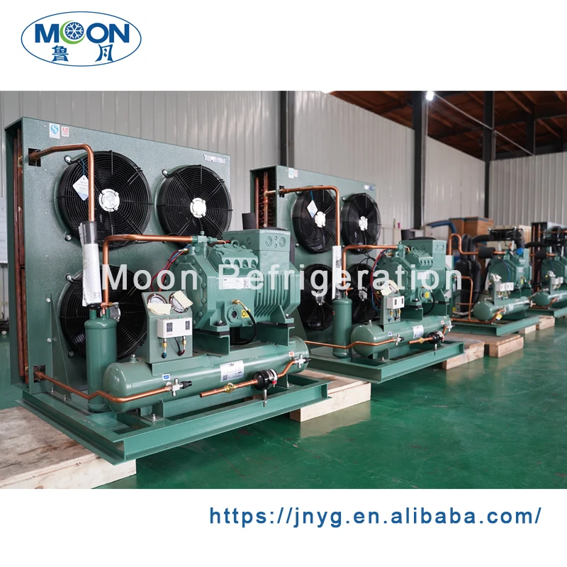 MOON Cold Room Refrigeration Compressor 2hp or 10hp for Sale