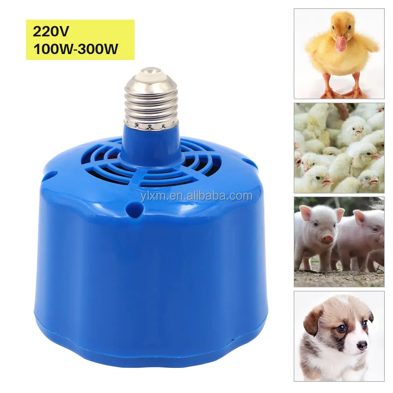 Warm Your Blue Chickens and Pets with Poultry Heating Lamps