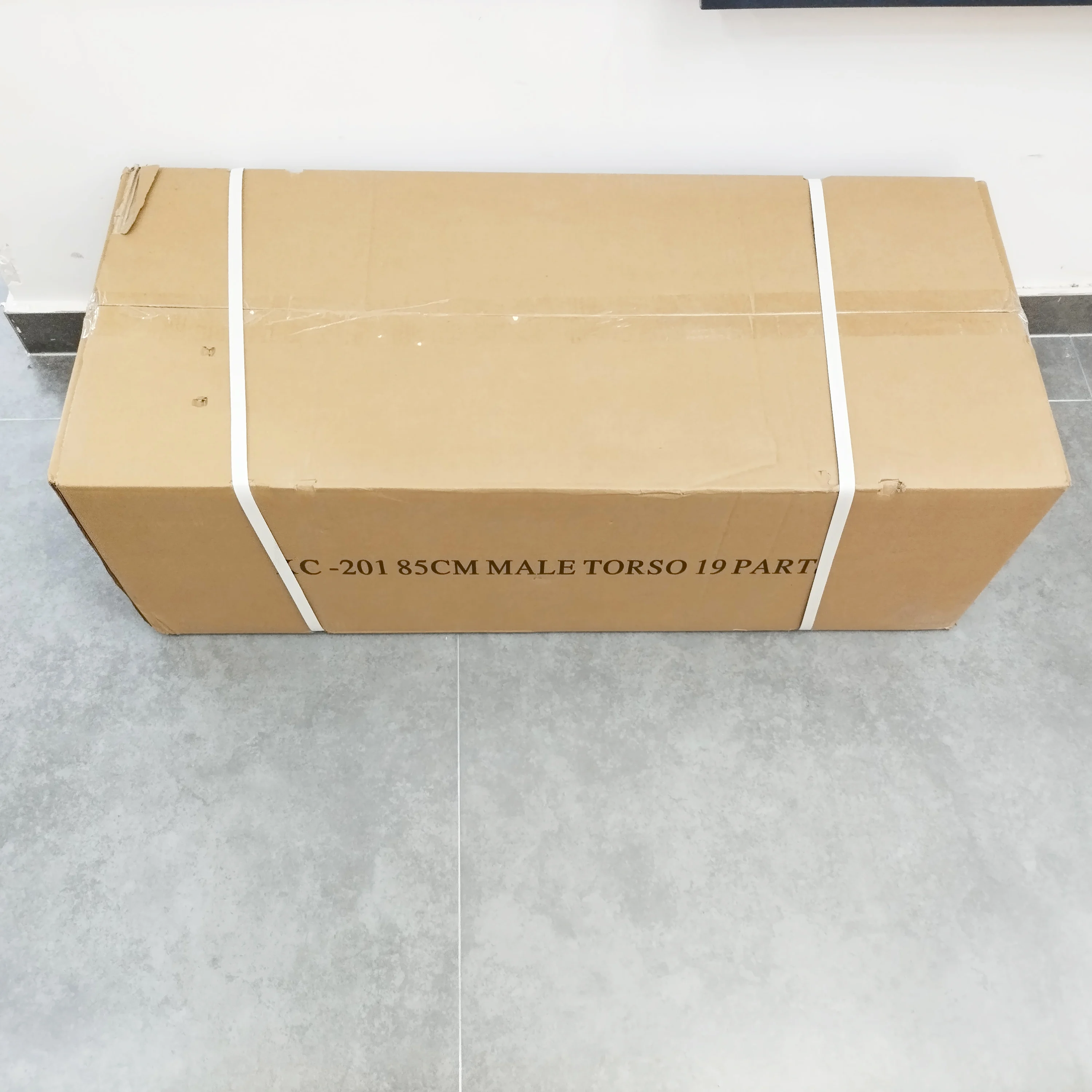 High Quality Medical Training Pvc Human Anatomy Half Body Internal ...