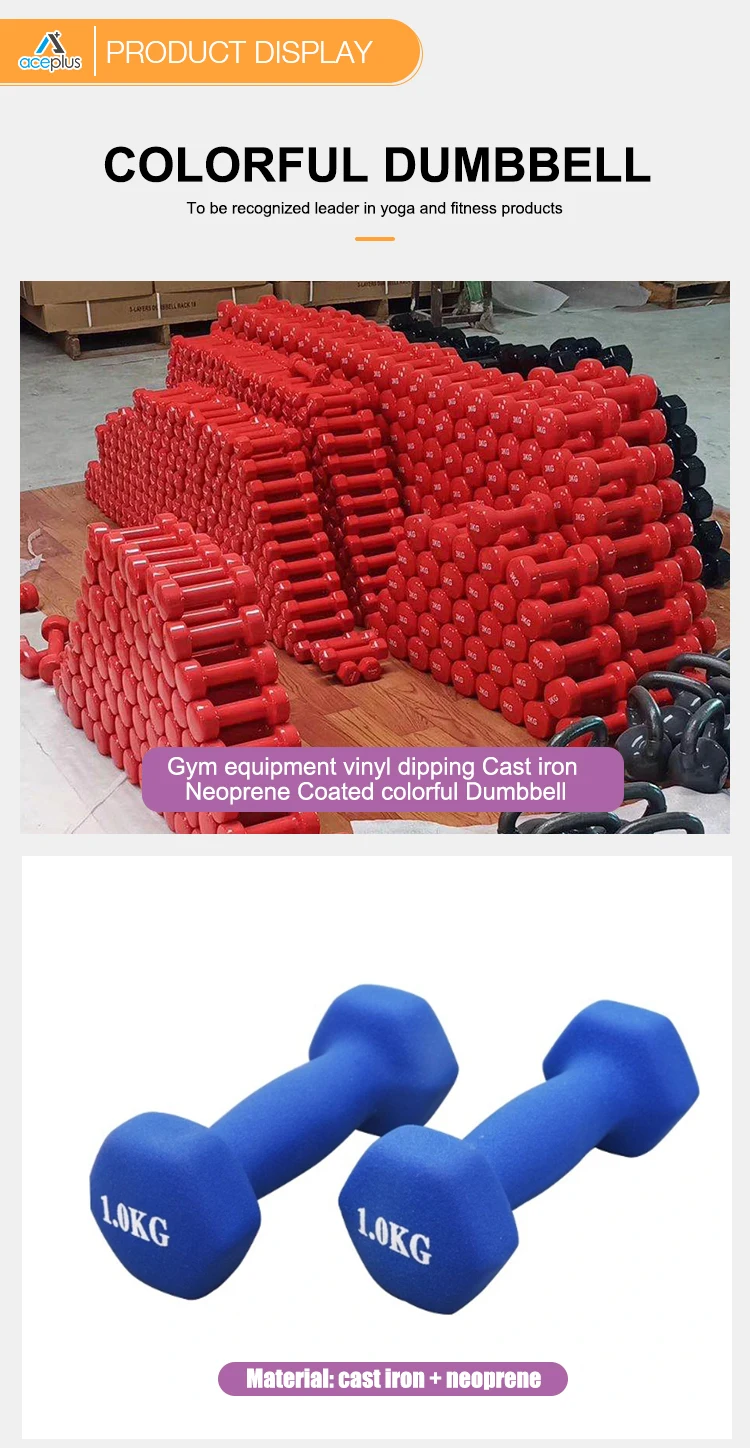 Gym Equipment Dumbbells Weight Dumbbells Vinyl Hex Rubber Dumbbell ...