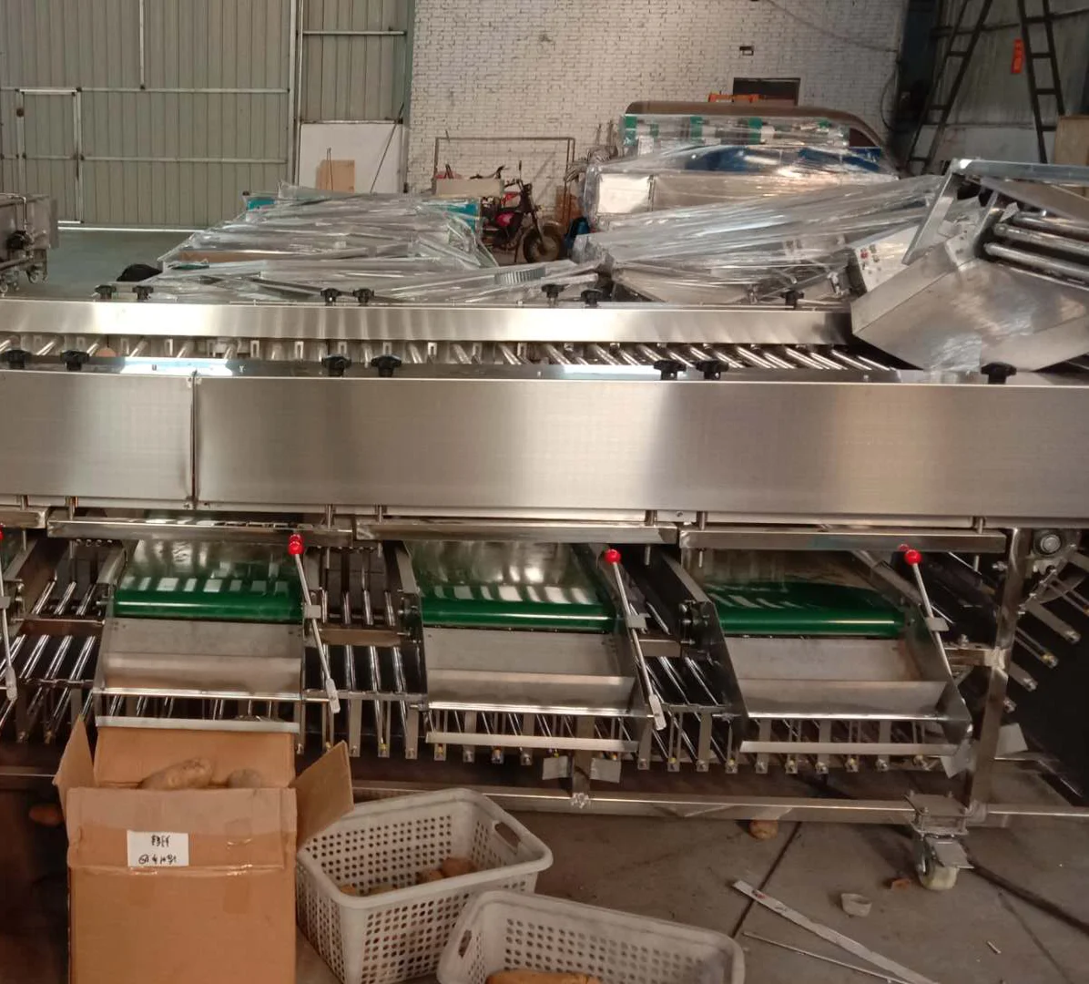 Potato Roller Fruit Sorting Grading Machine for Plum Price