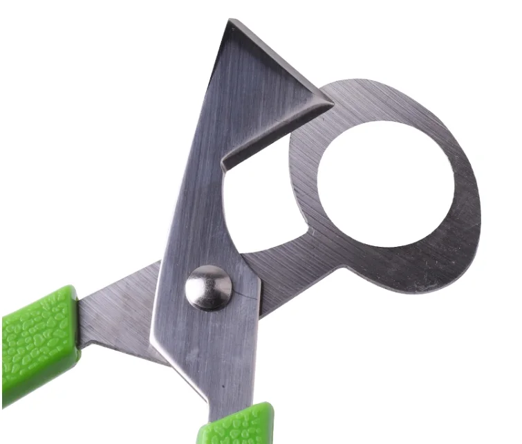 Manual Pigeon Egg Cutter - Efficient & Durable Tool