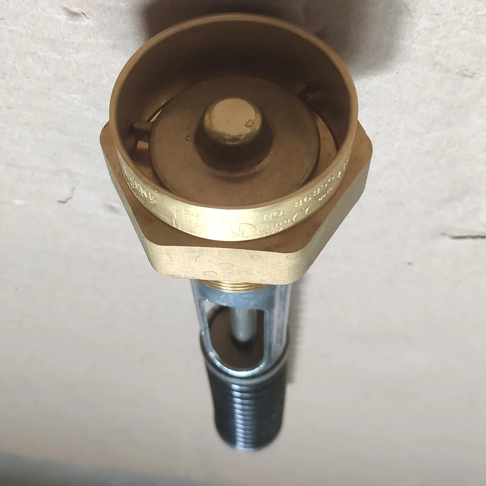 REGO Gas Valve 8685G - Reliable Pressure Relief Solutions