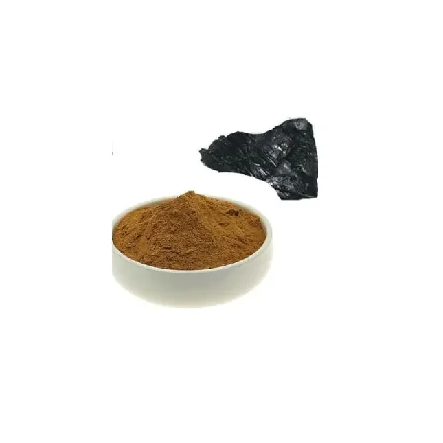 Shilajit Extract Nature's Mineral Dense High Attitude Extract Leads To ...