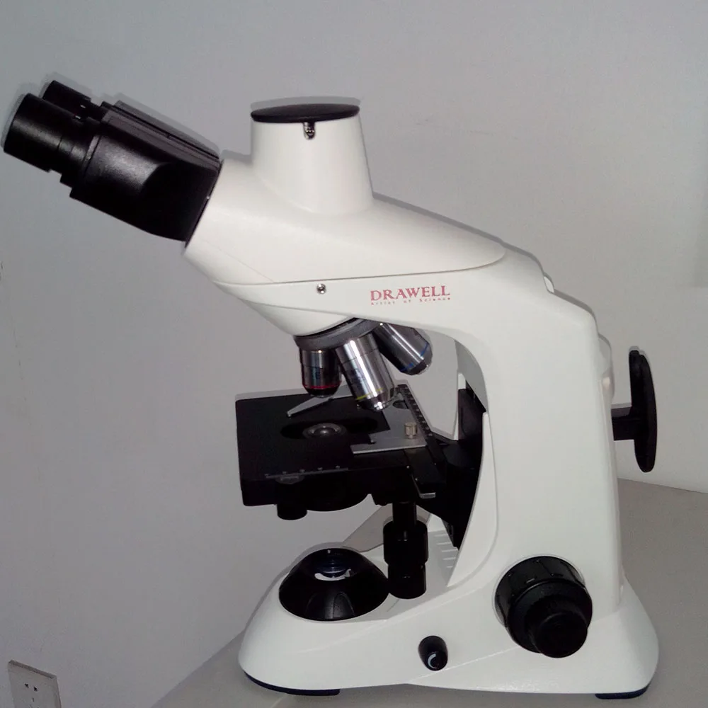 Motic Microscopios - Superior Quality and Custom Support