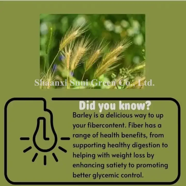 Oem/odm Barley Gummies Contains Supergreens,Vitamin C Barley Grass ...