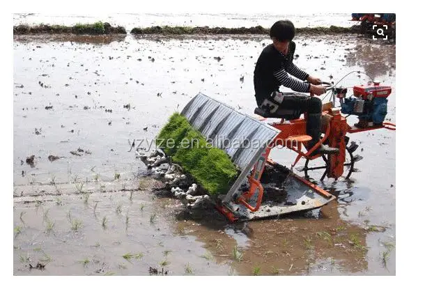 Efficient Rice Transplanting with YIZE Machines in Philippines