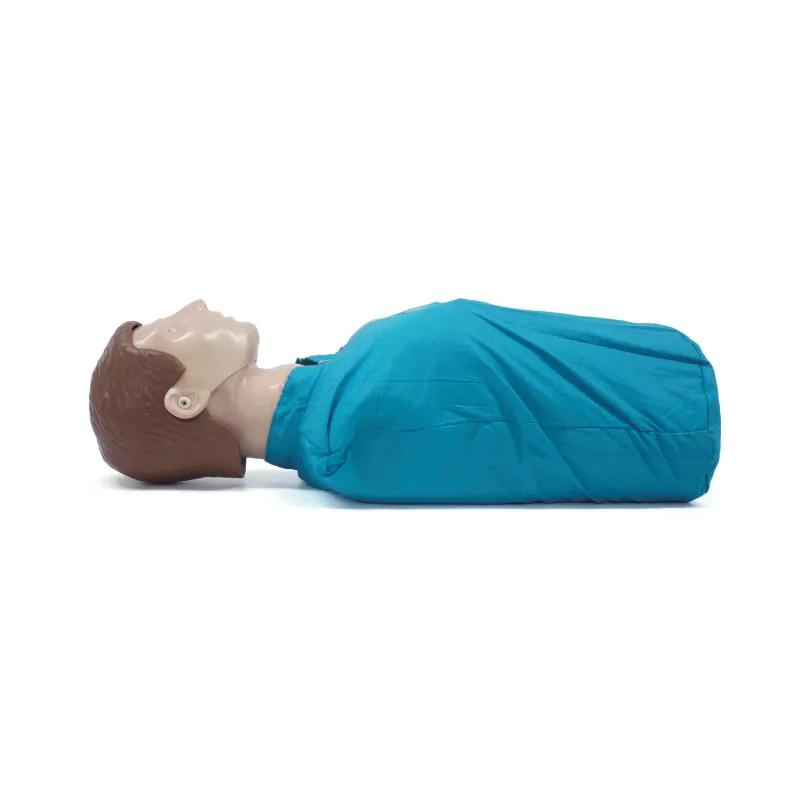 Half Body Cpr Manikin Medical Training Education Human Model ...