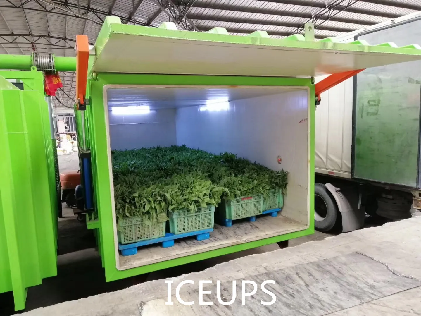 Kms-3p Vegetable Vacuum Pre Cooling Machine With Stainless Steel ...