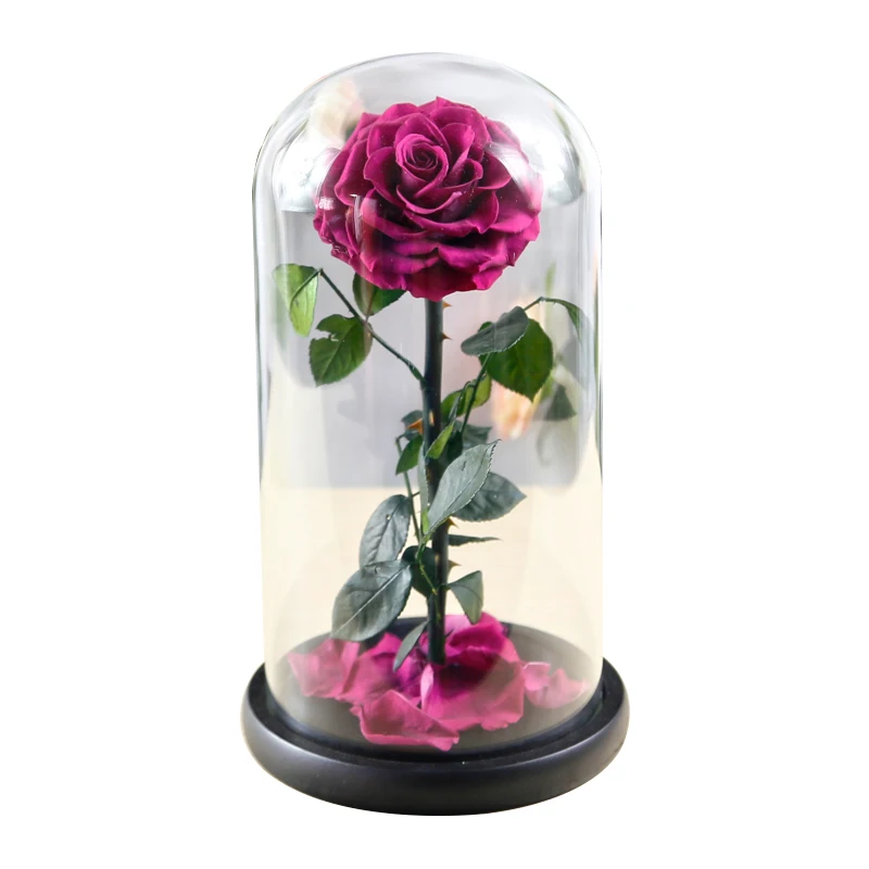 Long Stem Preserved Single Roses Real Life Long Lasting Garden Rose ...