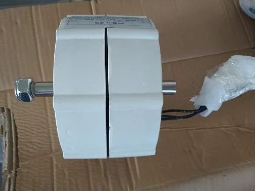 600W Permanent Magnet Generator with Free Shipping