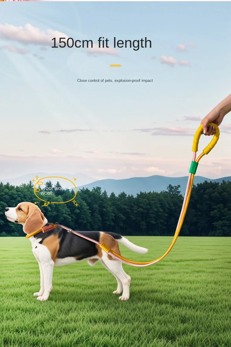 Explosion-Proof Medium Small Dog Traction Rope Anti-Break Free P Chain ...