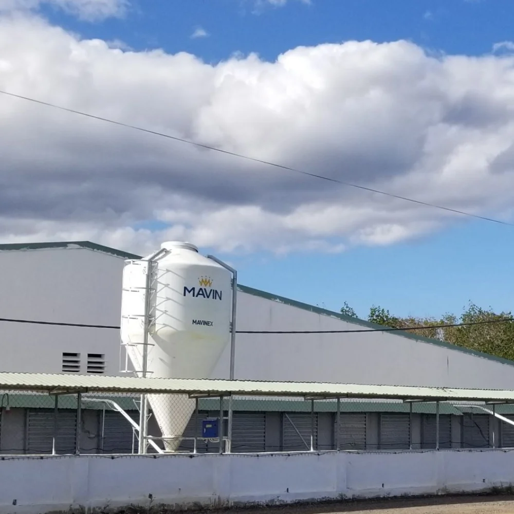Pig Feed Storage Silo Feed Silo For Sale Fiberglass Stainless Steel ...