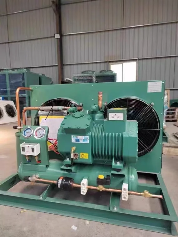 Walk in Cold Room Compressor 12HP - Reliable Refrigeration