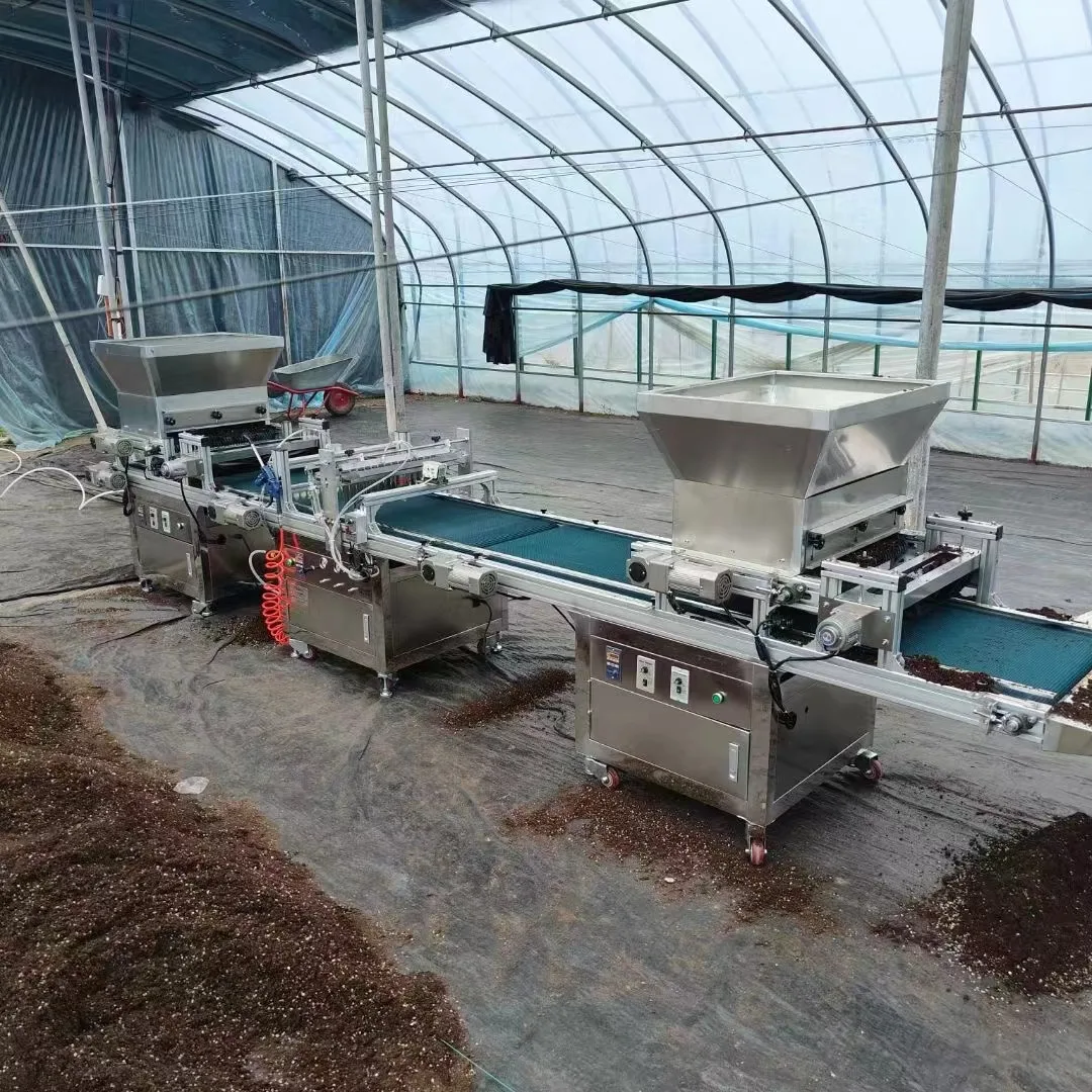 Tray Seeding Machine - High Productivity for Vegetable Planting