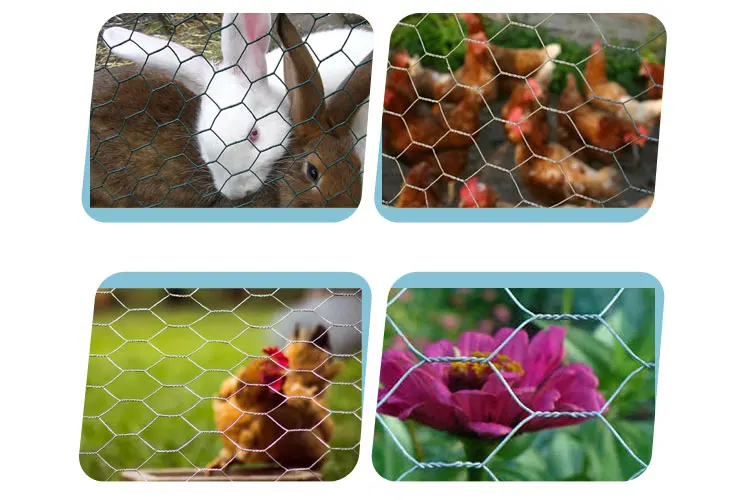 Pvc Plastic Coated Chicken Wire Mesh Chicken Wire Netting 3/4 Inches ...