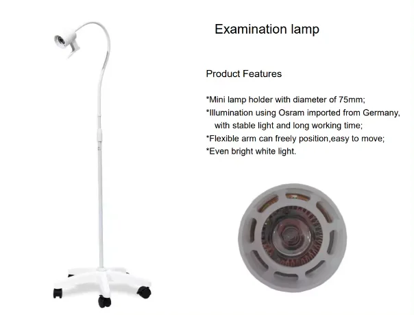 Amain Gynecological Examination Goose Neck Mobile LED Medical Light ...