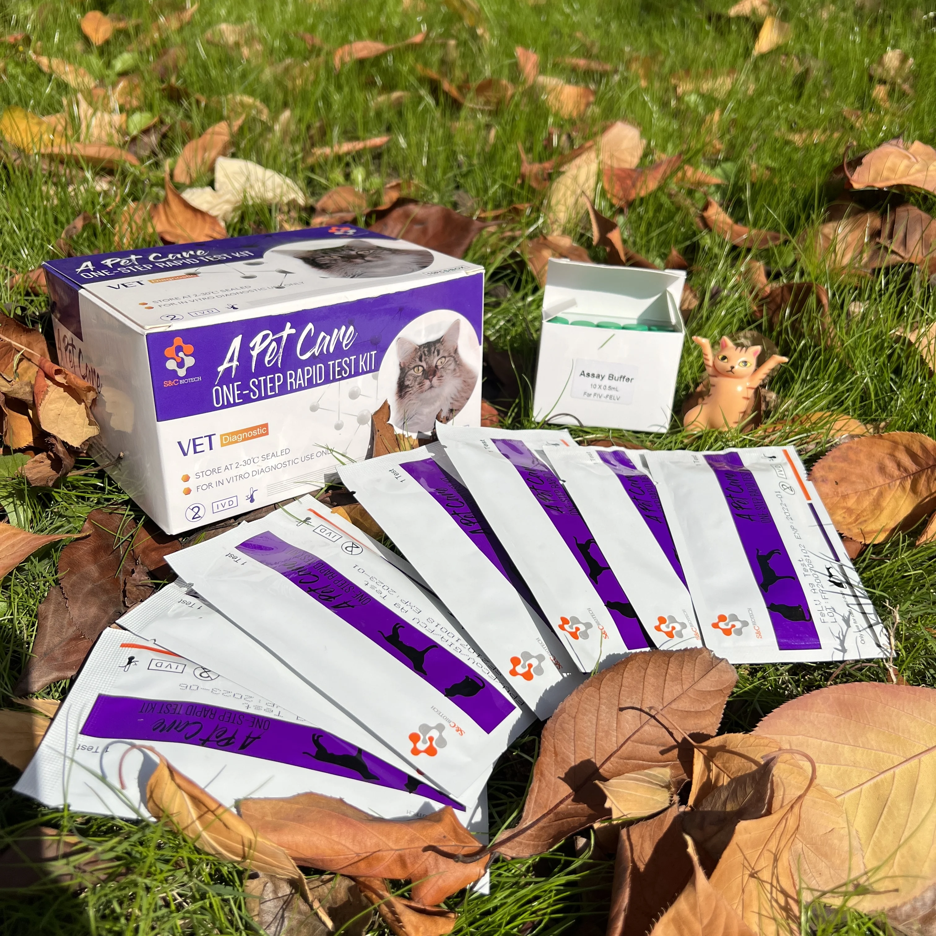 High Quality Mycoplasma Haemofelis /Mycoplasma Pneumoniae MP Ag test ...