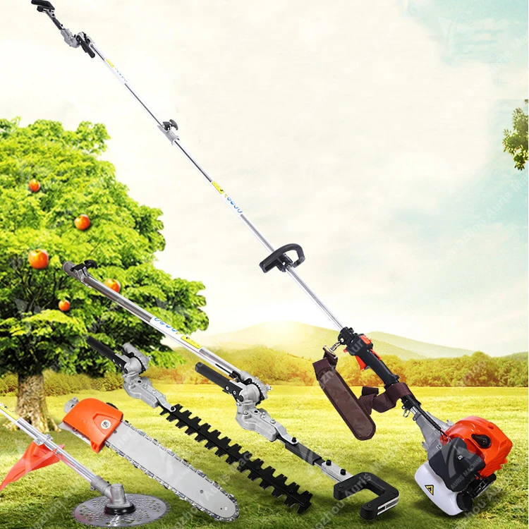 High Tree Fruit Apple Orange Date Pear Picking Olive Walnut Shaking ...