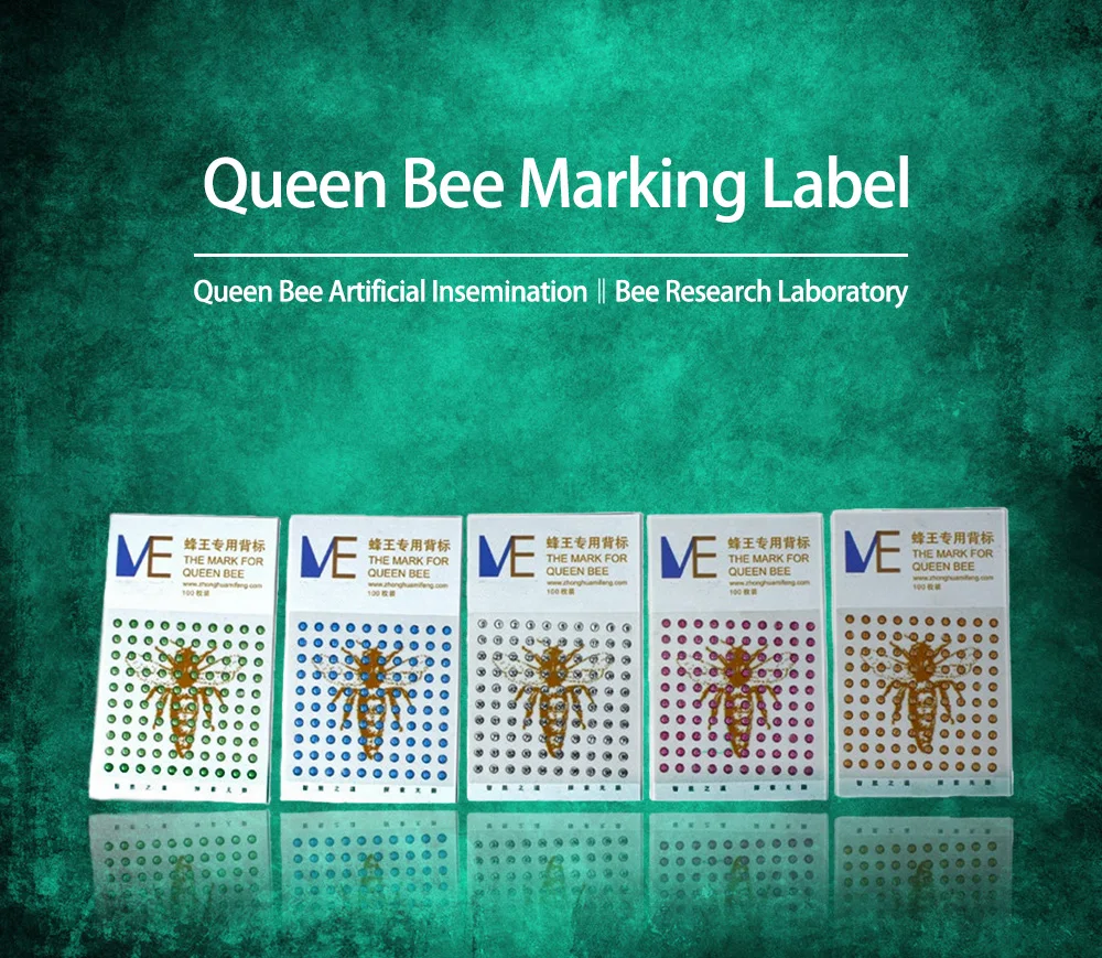 Queen Bee Marking Labels - Essential Beekeeping Tools