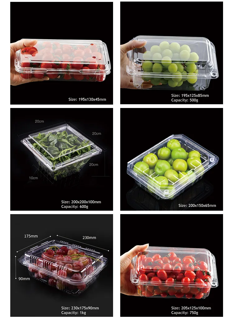 Clear Disposable Plastic Retangular Clamshell Blueberry Packaging ...