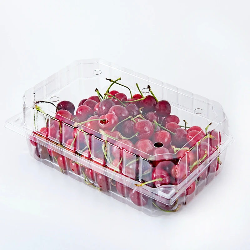 Disposable Plastic Fruit Vegetable Container - Clear Clamshell