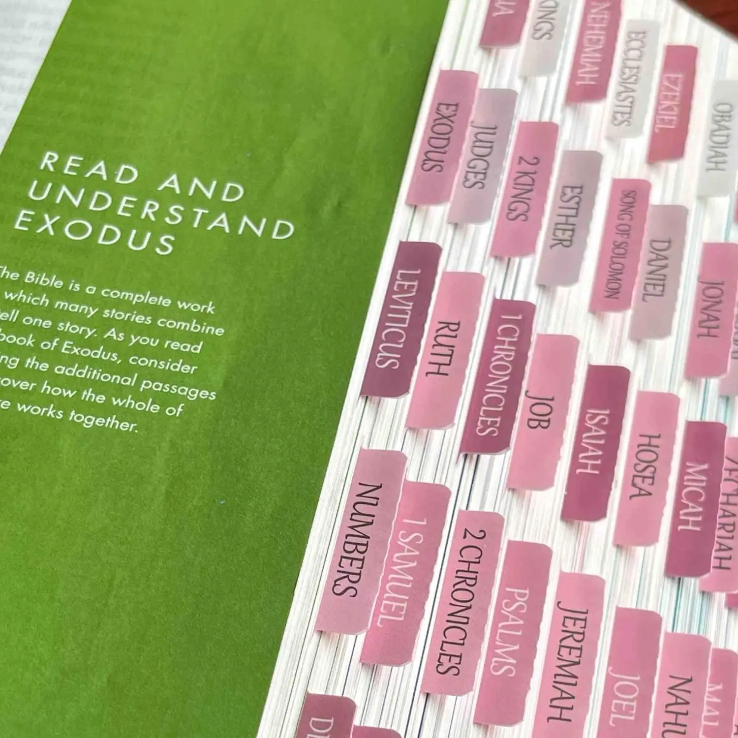 Custom Laminated Bible Personalized Bible Journaling Tabs