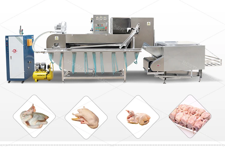 High Productivity Poultry Slaughtering Machine - 3 Year Warranty
