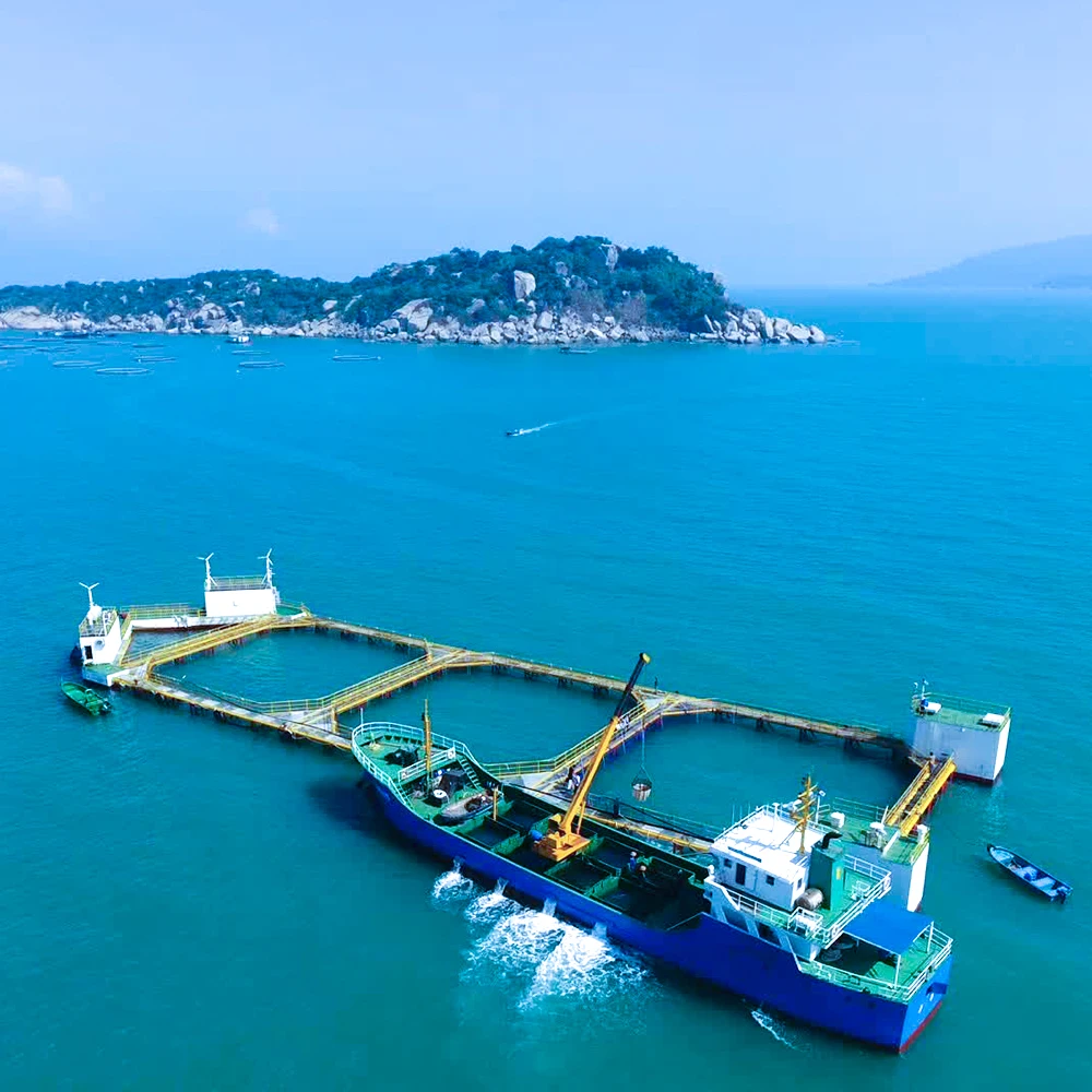 FISHING70000 Semi-Submersible Aquaculture Barge Ship
