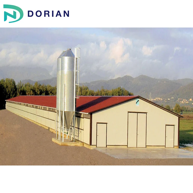 Simple Poultry House Steel Structure Farm Building For Turnkey - Buy ...
