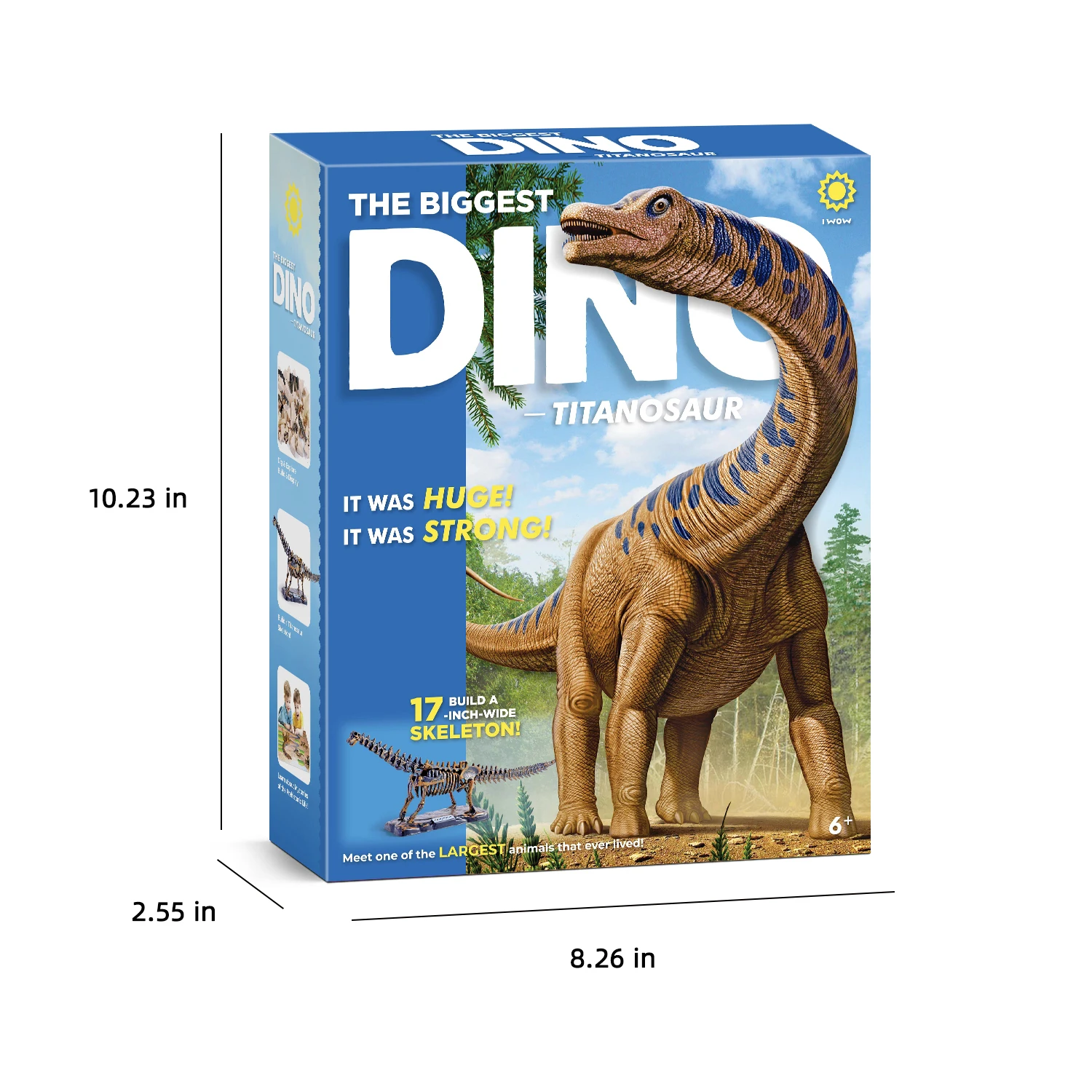 Educational Dinosaur Dig Kits - Fun & Learning Combined