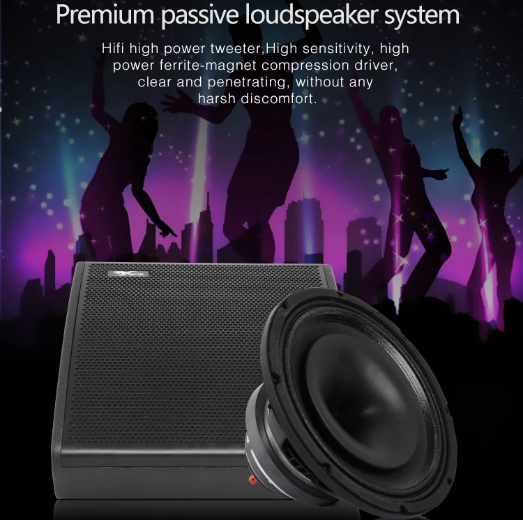 C15 Stage Professional Speaker - 15 Inch Coaxial Monitor