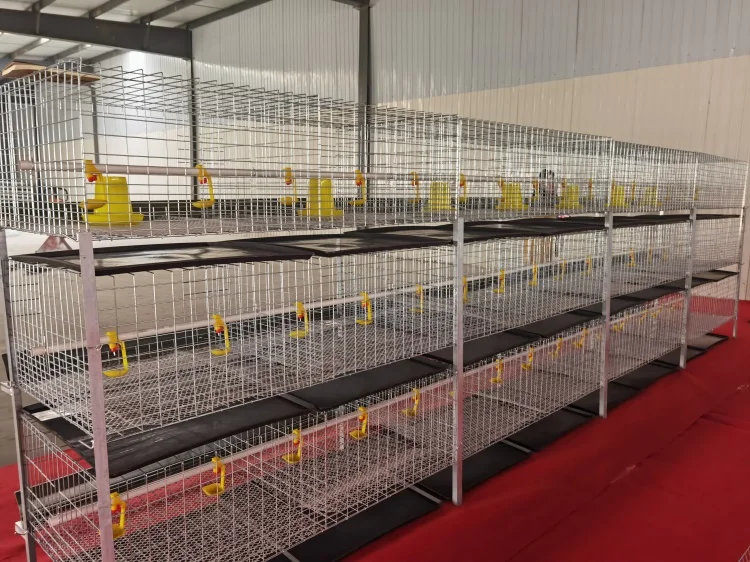 Broiler Chicken Cage Design Broiler Chicken Cage System Cages For ...