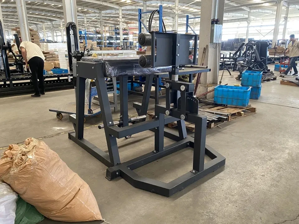 Commercial Plate Loaded Reverse Hyper Machine Hip Extension Exercise ...