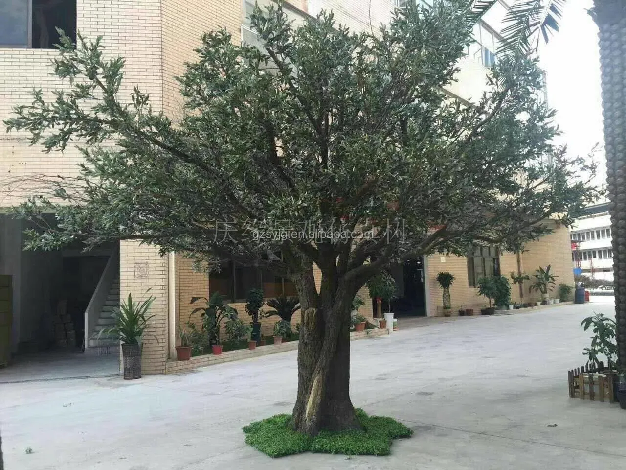Simulation of Large Artificial Banyan Trees Can Be Customized Perfect ...