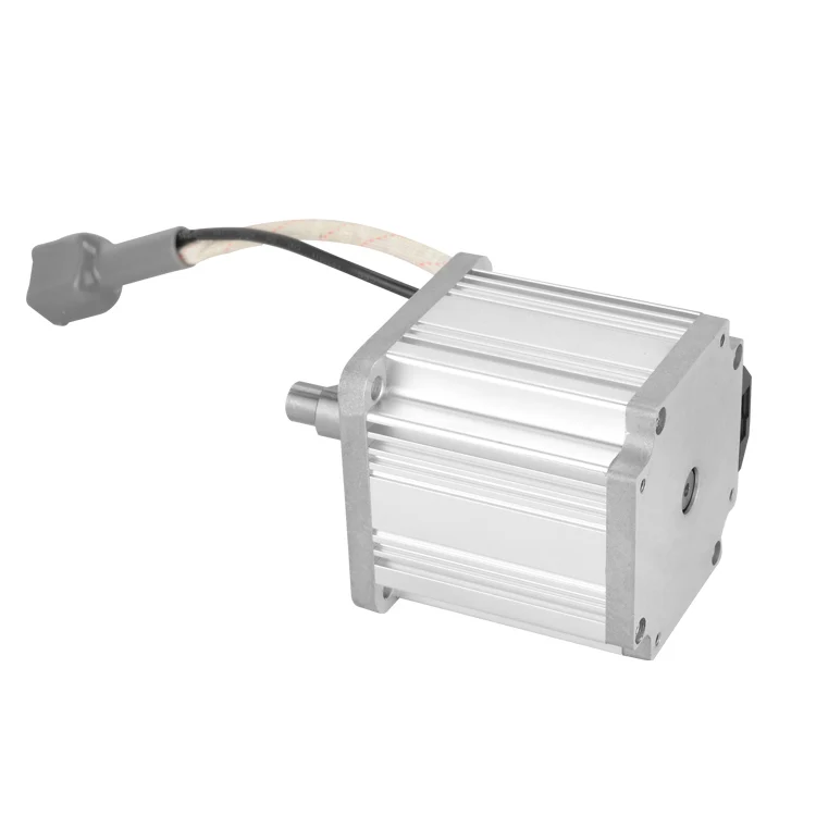 High Speed 20000 Rpm Brushless Dc Motor For Waste Processor - Buy ...