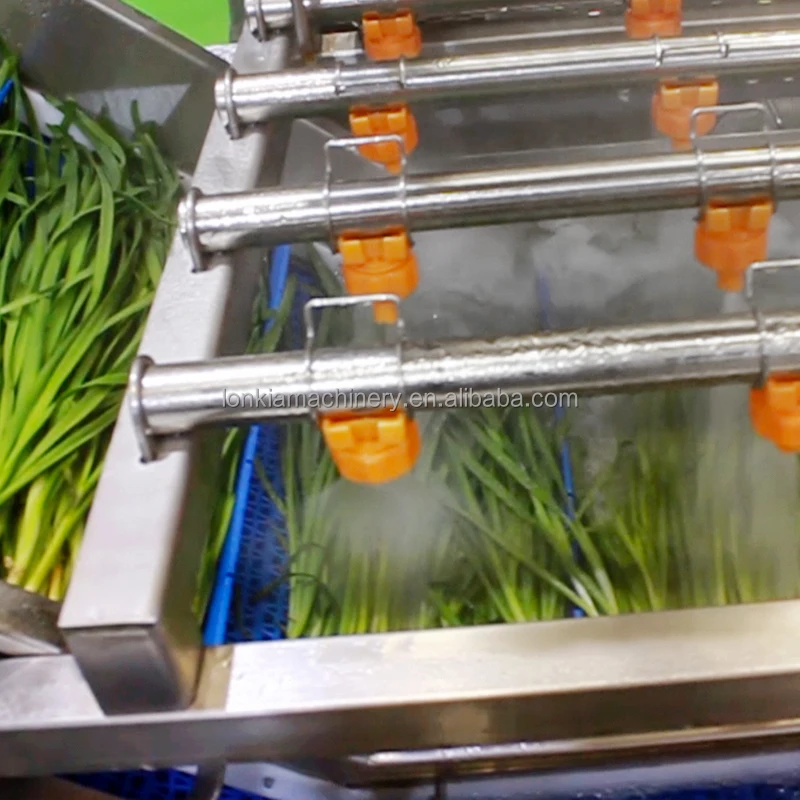 Industrial Vegetable Leeks Scallions Lettuce Spinach Parallel Roller ...