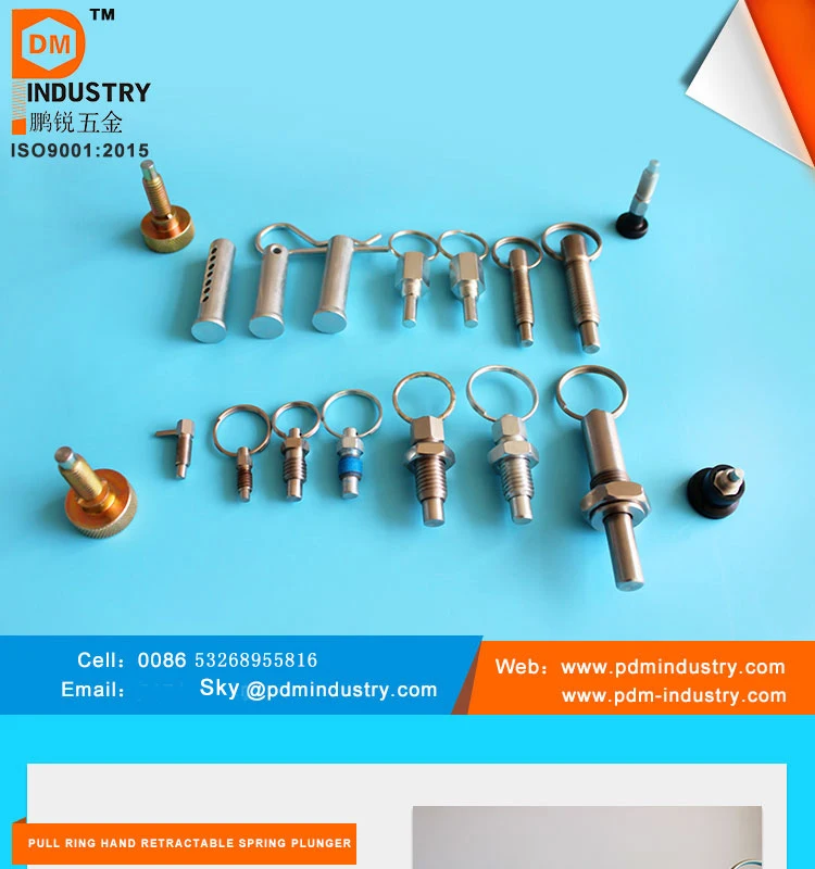M6 M8 M10 M12 M16 M20 Stainless Steel Self Locking Index Plunger Pin ...