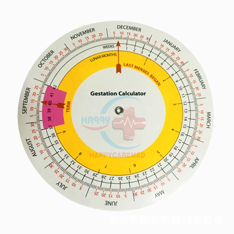 Hc-f014 Medical Pregnancy Due Date Calculator Wheel Round Pregnancy ...