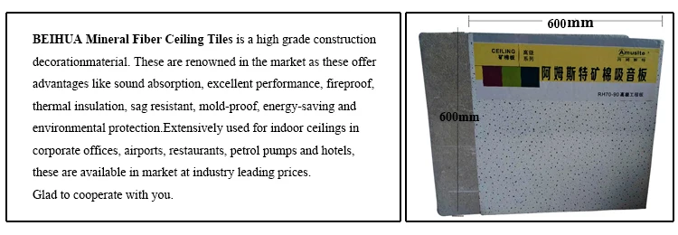 Acoustic Panels For Ceiling - Buy Lightweight Ceiling Panel,4x8 Ceiling ...