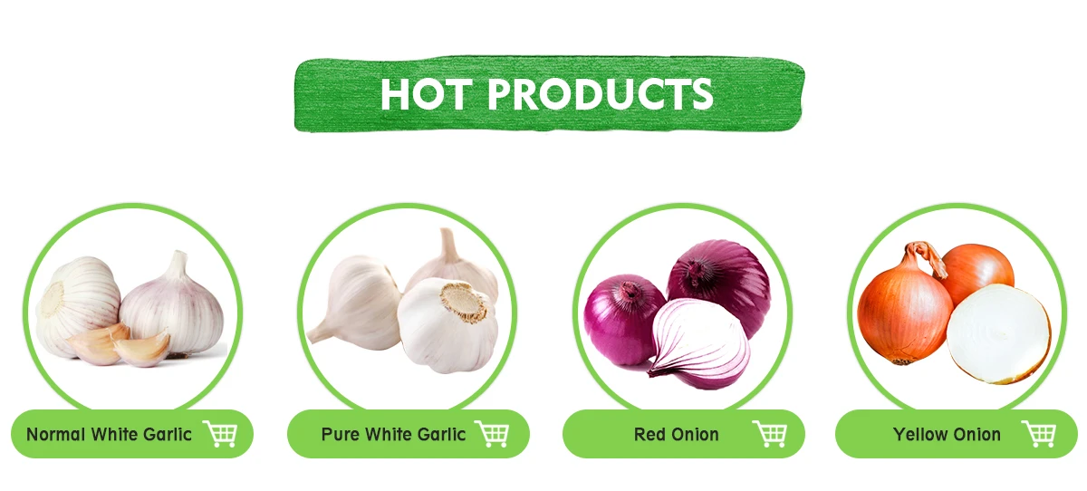 Jinxiang Liming Trading Co., Ltd. - GARLIC, GINGER