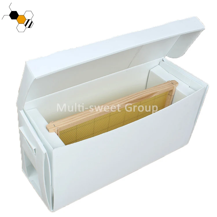 Beekeeping 5 Frames Nuc Box - Durable Cardboard Solutions
