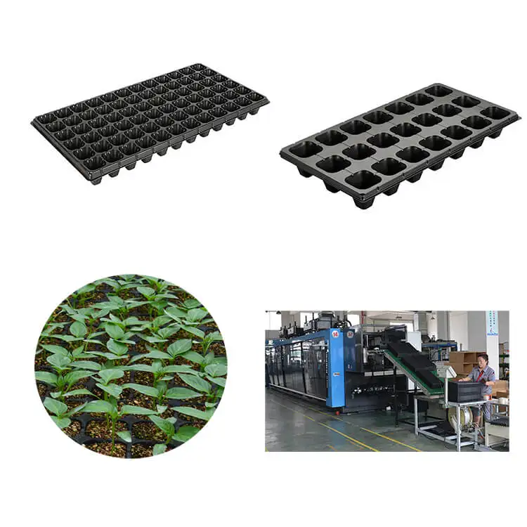 Seedling Germination Rice Seed Tray Transplanter Biodegradable Plastic ...