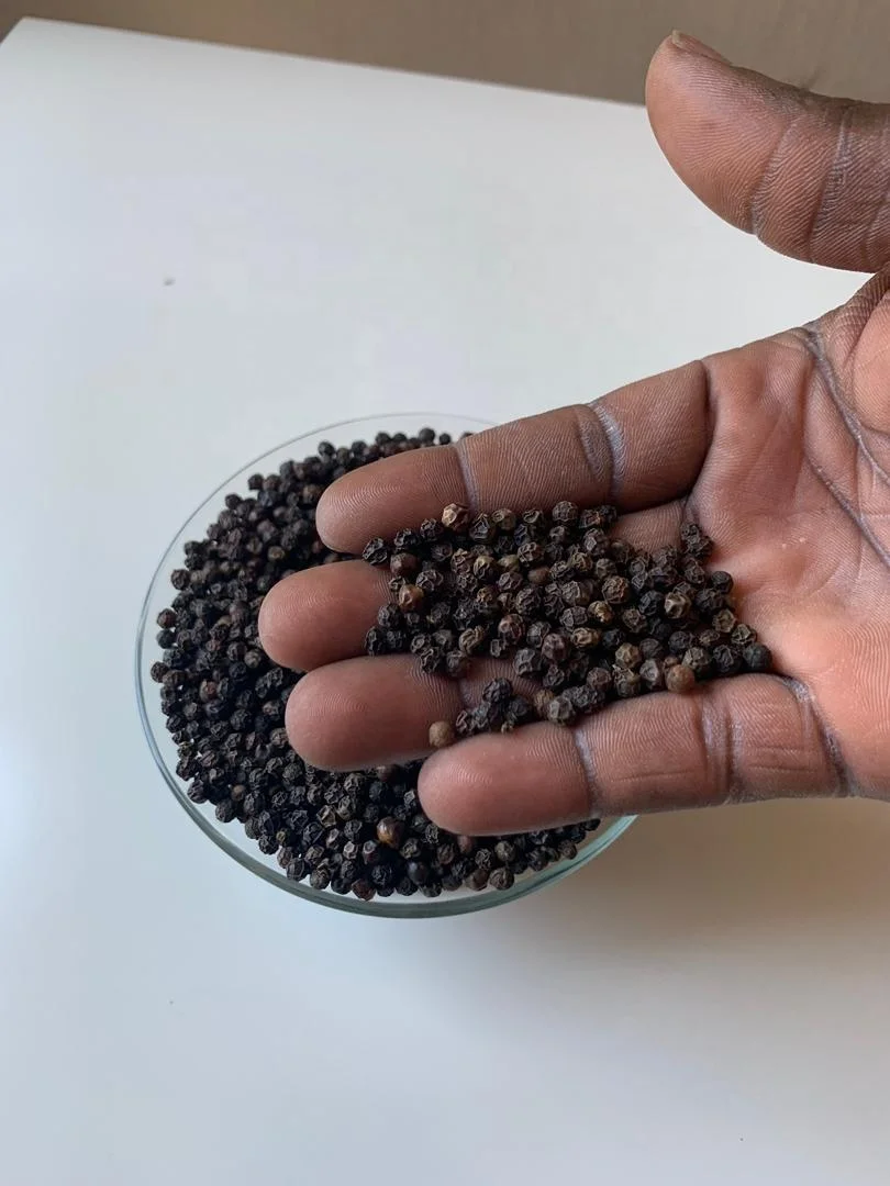 Black Pepper From West Africa Bulk Black Pepper 550 G/l Black Pepper ...
