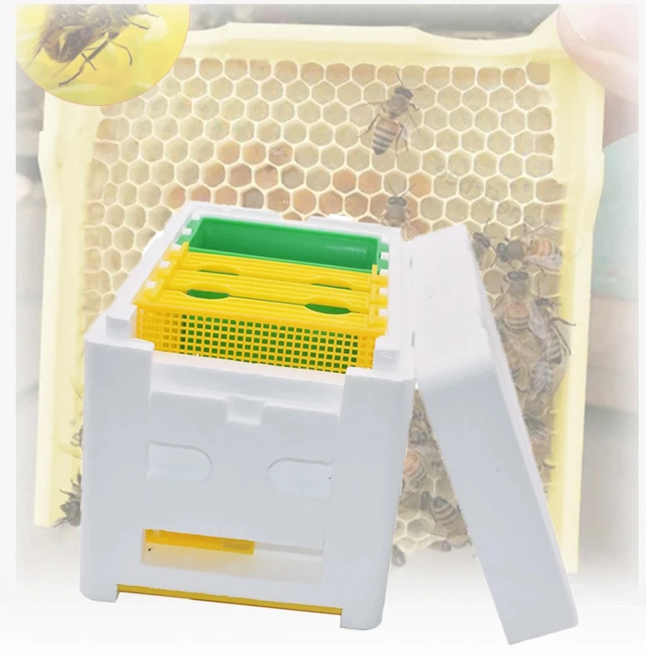 Mini Beehive Bee Queen Mating Box - Essential Beekeeping Equipment