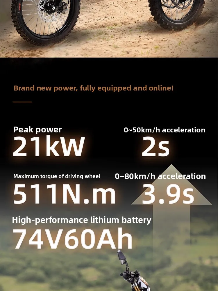 2025 SURRON Ultra Bee All-Terrain Electric Motorcycle - for City ...