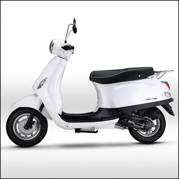 Znen Motor The New Generation Of Popular,Classical And Retro 50cc Gas ...