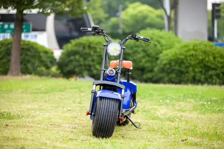 Citycoco Mexico Brazil Peru Chile Argentina Electric Scooter