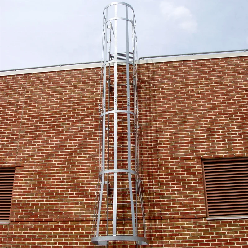 Galvanized Steel Safety Cat Cage Ladder with 2-Year Warranty