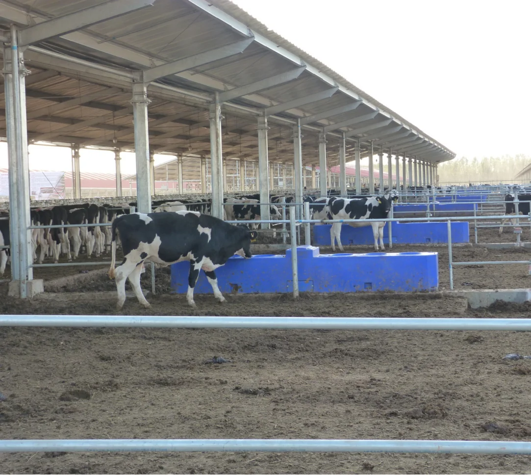 Automatic Cow Waterer/plastic Cattle Troughs For Horses - Buy Drinking ...